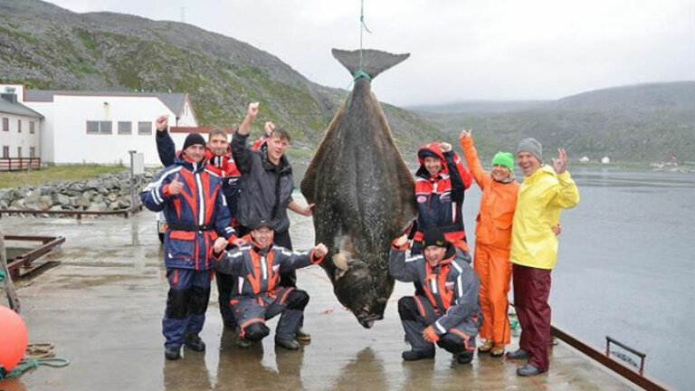 Los peces planos y sus especiales características –– Mis animales