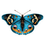 Alas de mariposa: la belleza en escamas - Mis animales