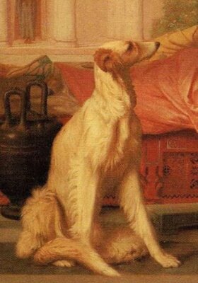 Historia de Argos: perro que esperó 20 años a que su dueño regresara ...
