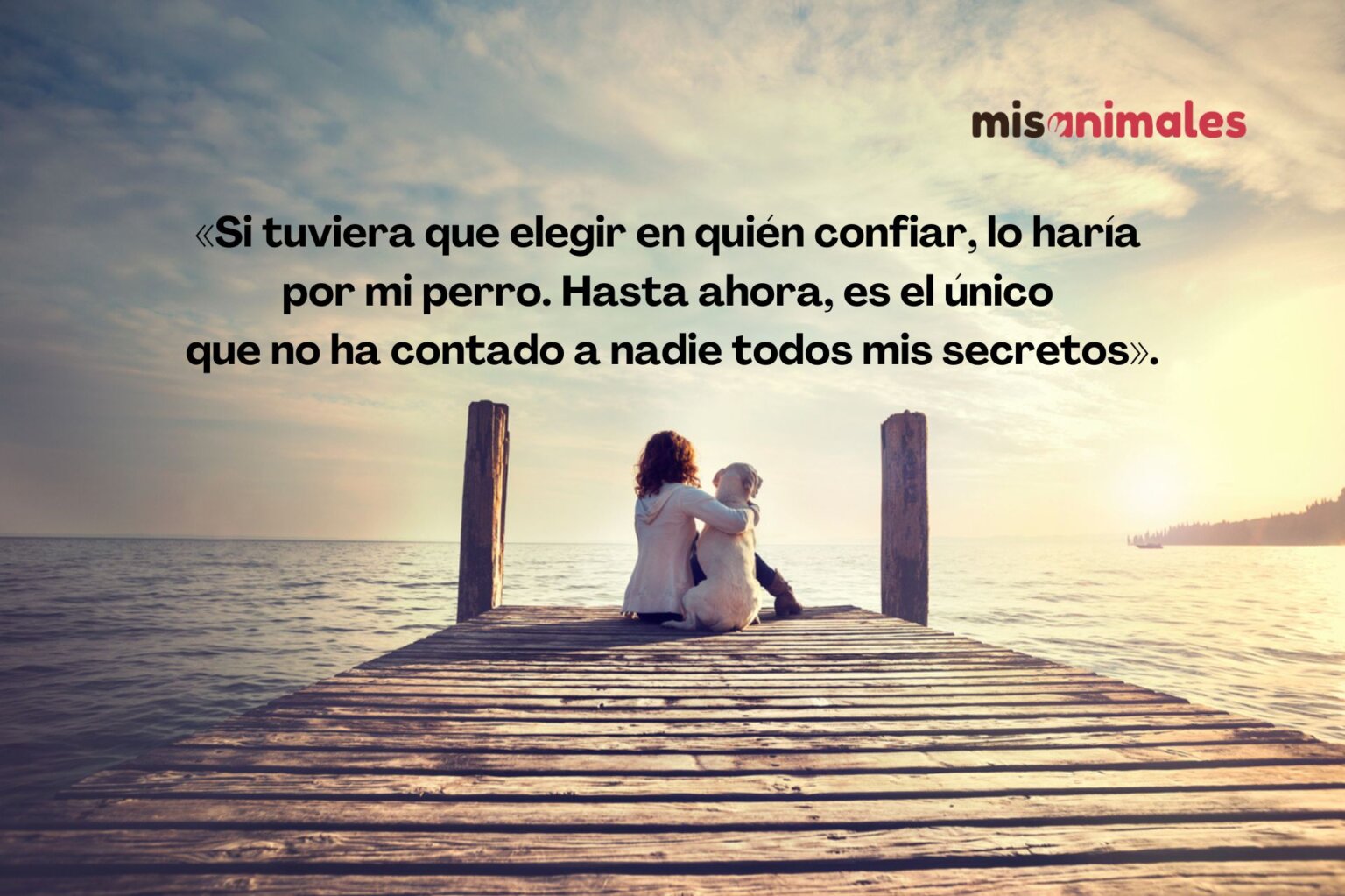 150 frases bonitas de amor entre perros y dueños | Animales Leales