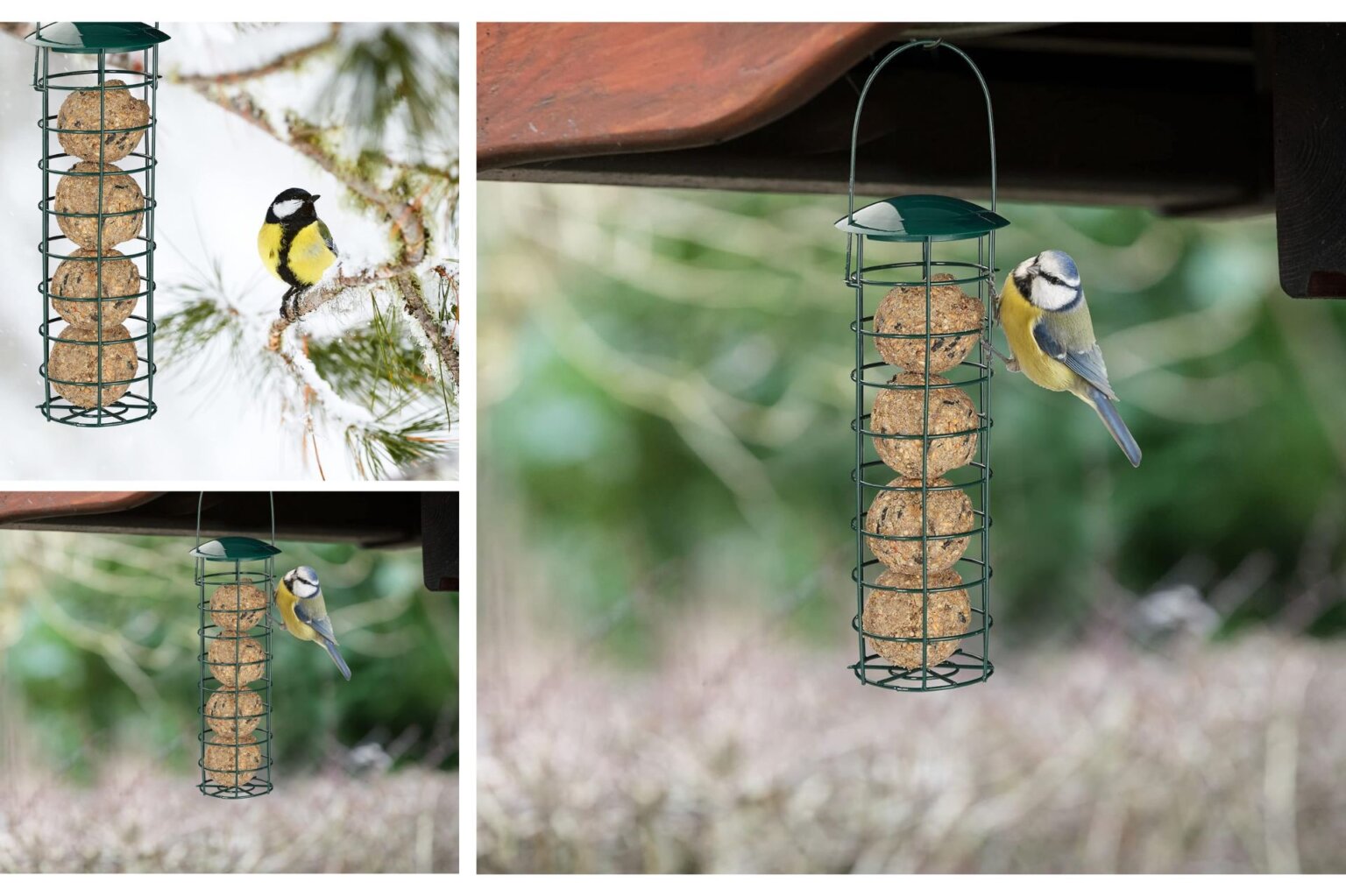 Los 35 mejores comederos para pájaros y aves - Mis animales